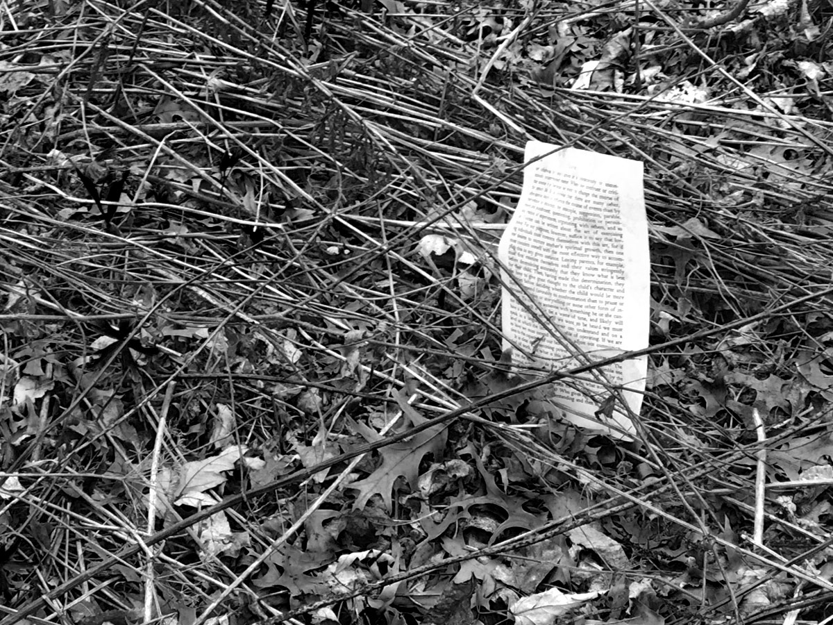 This is David M. Perry – Journalist – Historian – Speaker